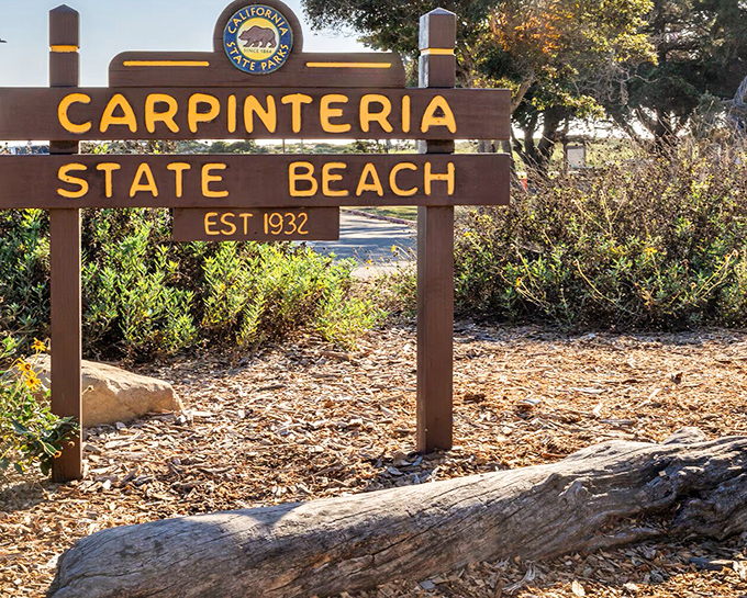 Established in 1932, this wooden sentinel has greeted generations of beachgoers. Some signs point you to tourist traps; this one promises authentic coastal bliss.