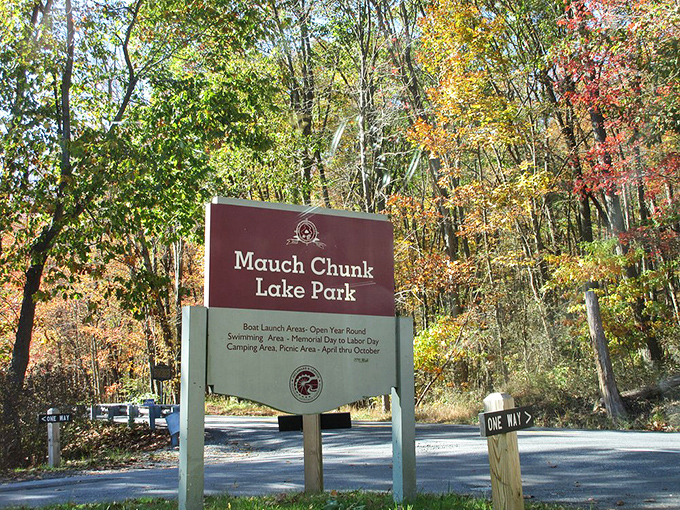 The entrance sign stands like a friendly greeter, promising adventures that your Instagram feed has been desperately craving.