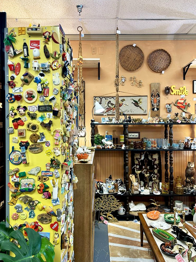 This yellow wall of magnets is like a physical Pinterest board from before the internet existed. Each tiny treasure tells a story.