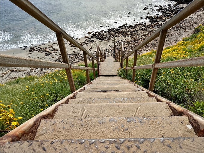 These wooden steps aren't just a path to the beach&mdash;they're a stairway to heaven, California-style. Each step down brings you closer to paradise.