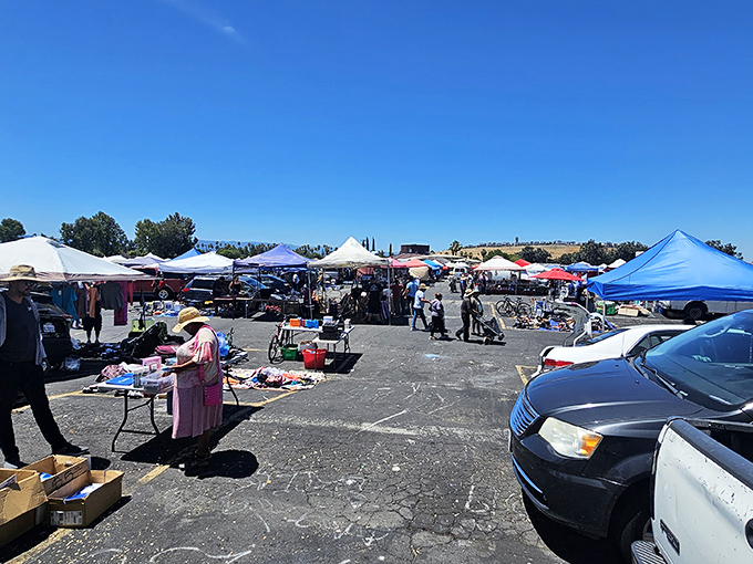 Under the California sky, a patchwork of colorful canopies creates a makeshift marketplace where treasures await the patient hunter.