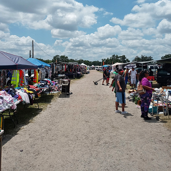 The main drag of bargain boulevard, where savvy shoppers navigate a sea of tents hunting for that perfect something they didn't know they needed.