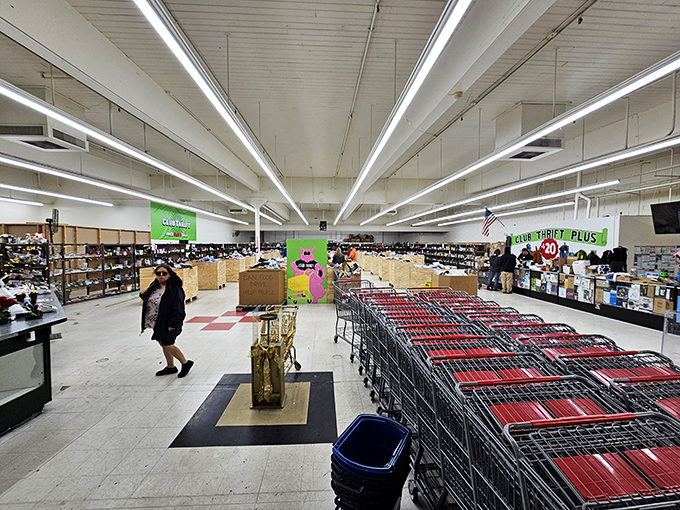 The thrill of the hunt comes alive under fluorescent lights, where each aisle promises undiscovered bargains waiting for their forever homes.