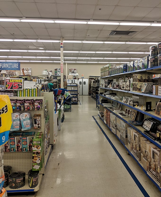 Aisles stretch before you like pathways to potential savings&mdash;where everyday necessities mingle with unexpected finds waiting to be discovered.