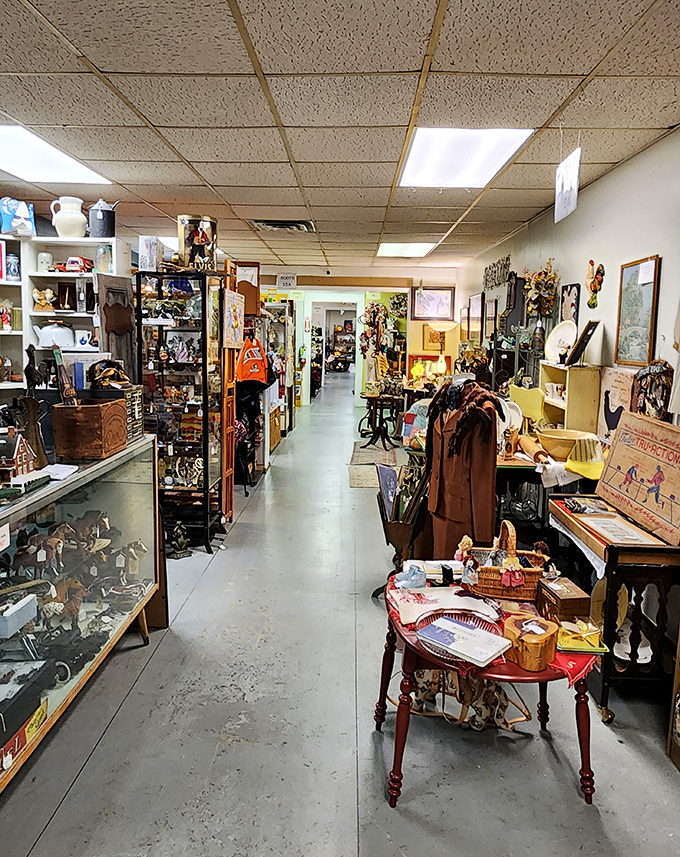 Step into this time-travel corridor where every aisle leads to a different decade. Who needs a DeLorean when you've got Antique Alley?