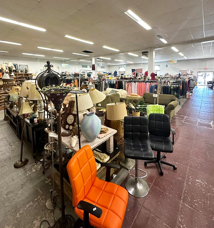 A retail safari where orange office chairs and vintage lamps coexist in perfect harmony. The thrill of the hunt begins here.