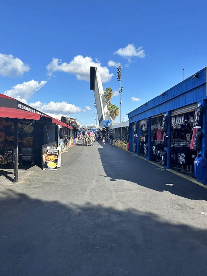 Blue skies and endless possibilities stretch down this aisle of vendors. The perfect Southern California backdrop for bargain hunting adventures.