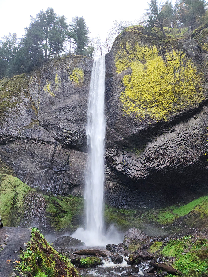Mother Nature showing off her architectural skills with this 249-foot masterpiece. The bright yellow lichen adds that perfect designer touch against basalt columns.