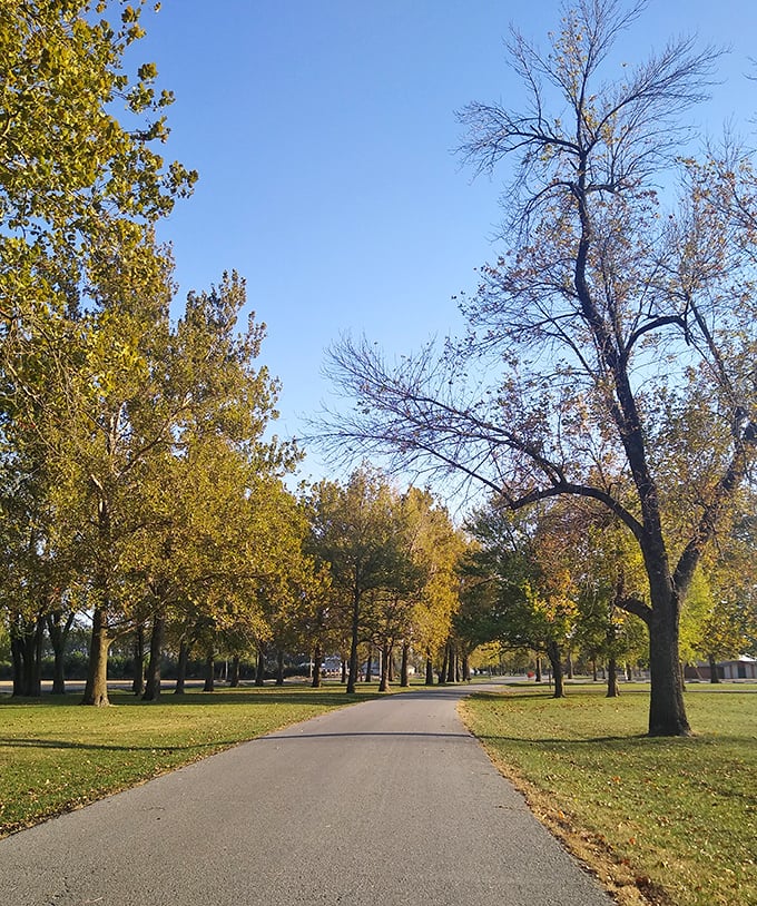 Autumn paints the park in golden hues as this tree-lined path beckons visitors deeper into Big Lake's tranquil embrace.