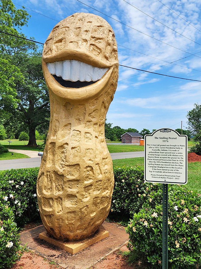 Up close and personal with this grinning goober. Those pearly whites could sell toothpaste, proving even peanuts understand the importance of dental hygiene.