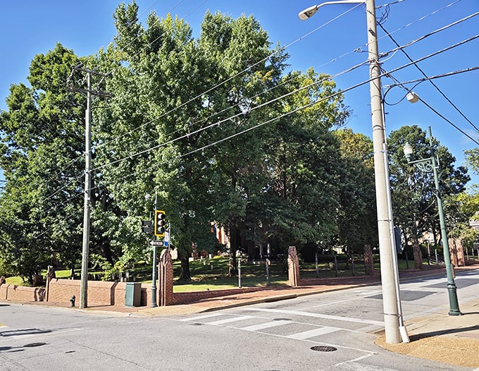 Tree-lined streets that make you wonder if Norman Rockwell moonlighted as a city planner.