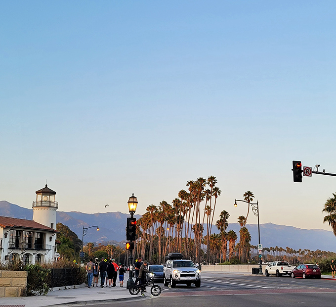 Palm trees standing tall like nature's exclamation points against mountain backdrops. This is Santa Barbara's signature view that never gets old.