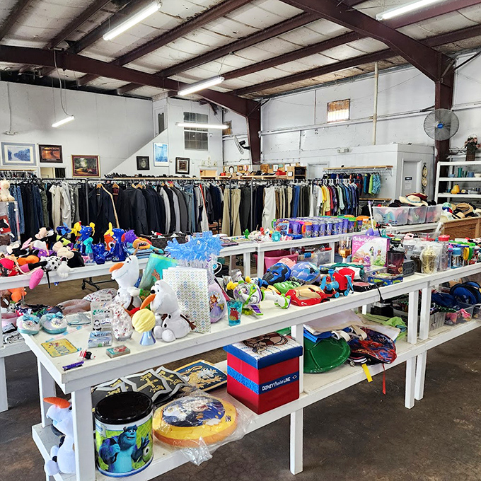 Behold the beautiful chaos where yesterday's impulse purchases become today's incredible discoveries waiting to happen.