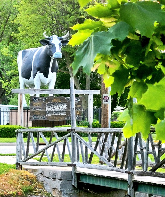 Framed by vibrant spring foliage, this magnificent bovine sentinel watches over Plymouth from her wooden perch. A perfect marriage of art and agriculture.
