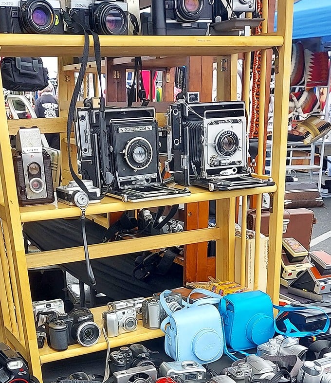 Time machines don't need flux capacitors&mdash;just look at this collection of vintage cameras, each one holding decades of memories and technological craftsmanship within their mechanical hearts.