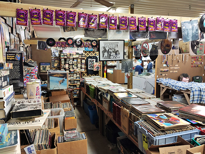 Vinyl heaven awaits music lovers with rows upon rows of albums. That Led Zeppelin poster isn't just decoration&mdash;it's a beacon calling to fellow rock enthusiasts.