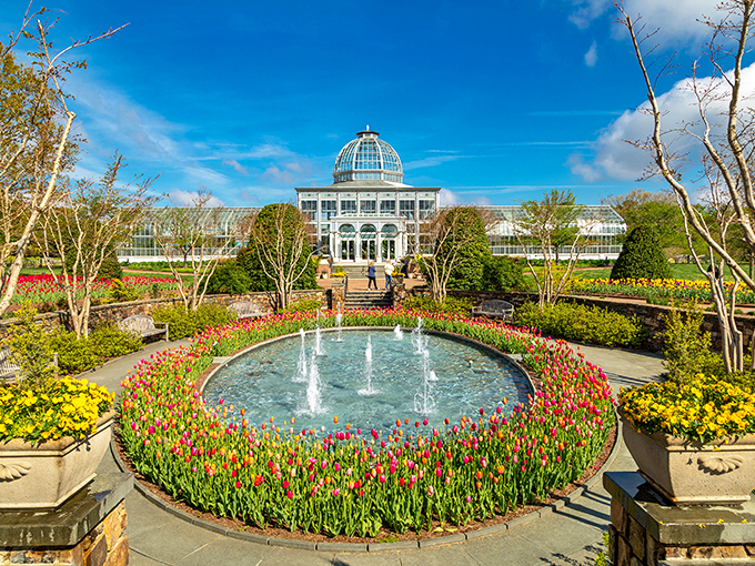 The classical conservatory rises beyond a perfect circle of tulips, like Virginia's answer to Versailles. Water dances while flowers stand at attention.