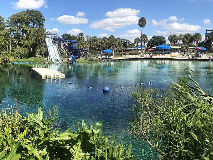 Water slides that empty directly into natural springs? It's like Mother Nature and your inner child collaborated on the perfect playground.
