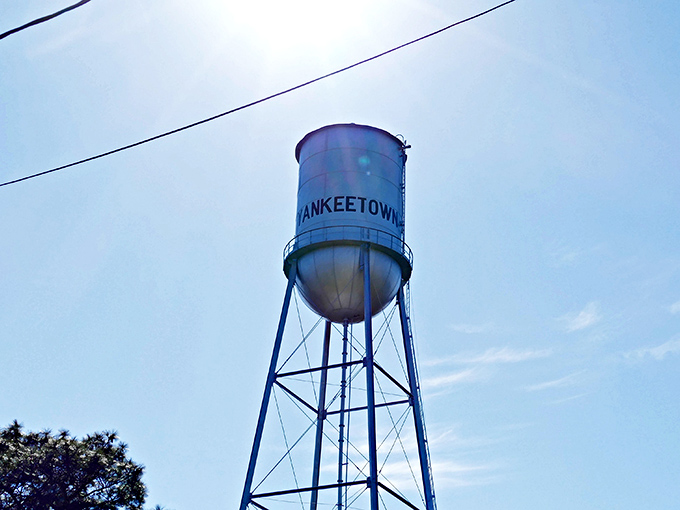 Standing tall against the Florida sky, Yankeetown's water tower serves as both landmark and local celebrity &ndash; the town's equivalent of the Hollywood sign.