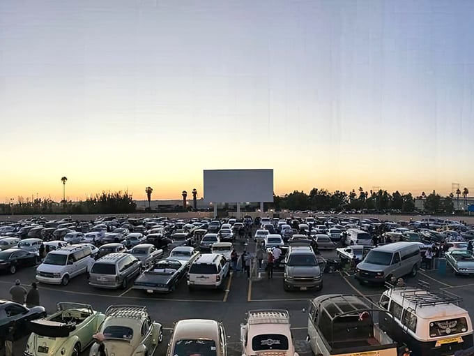 A sea of vehicles gathered under the twilight sky, each one a private theater box with the best seats in the house.