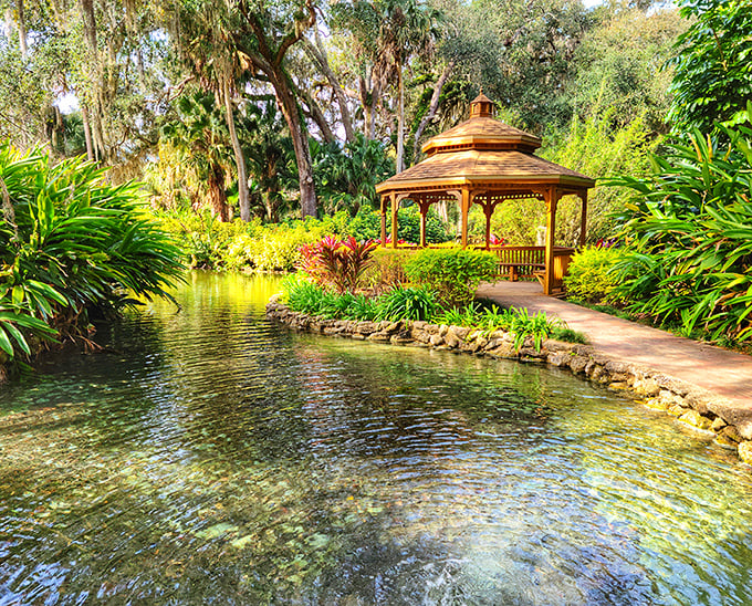 Serenity now! This wooden gazebo beside crystal-clear waters offers the kind of peaceful moment that makes you forget your inbox exists.