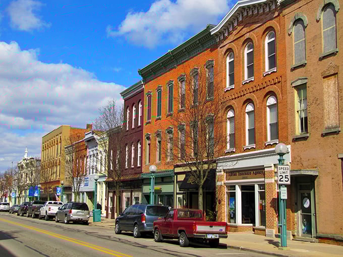 Adrian's historic downtown features beautiful brick buildings that tell stories of Michigan's rich architectural heritage and small-town charm.