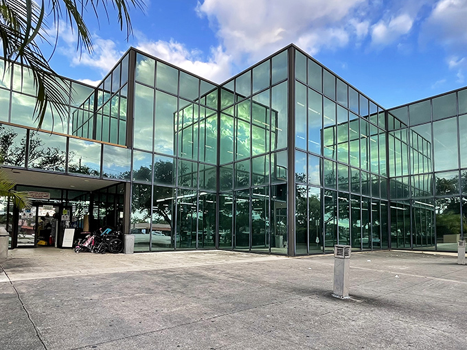 Glass and steel architecture meets bargain hunting - modern design housing timeless treasures.