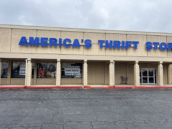 America's Thrift Store proves that one person's "spring cleaning" is another person's shopping spree goldmine.