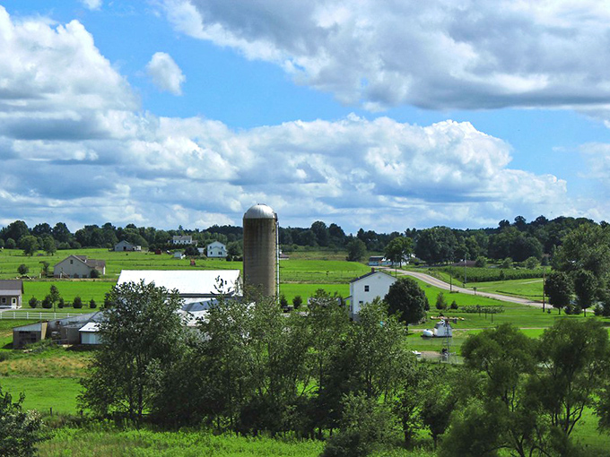 Rolling farmland stretches like a green quilt, where silos stand guard over peaceful Amish countryside dreams.
