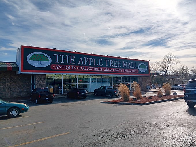 The Apple Tree Mall stands proud with its distinctive red signage - a beacon for bargain hunters everywhere.