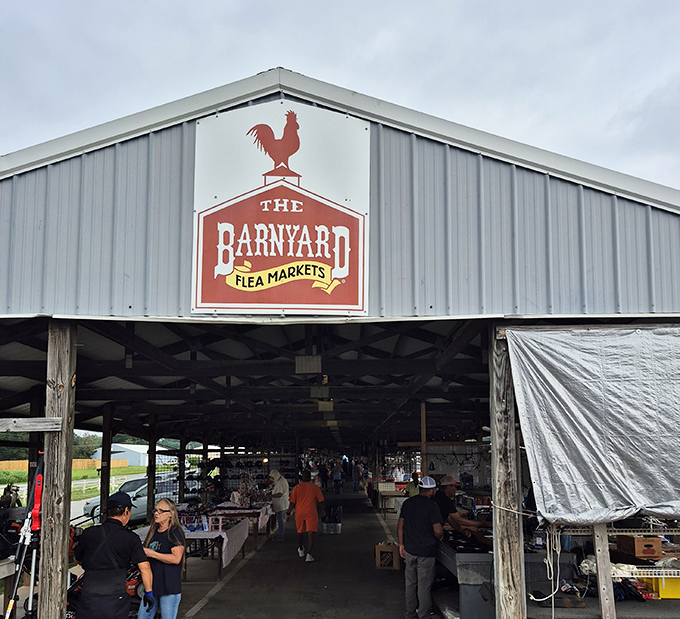 The Barnyard Flea Market's iconic rooster sign welcomes deal-seekers. No actual barnyard animals here&mdash;unless you count the shoppers hunting like foxes!