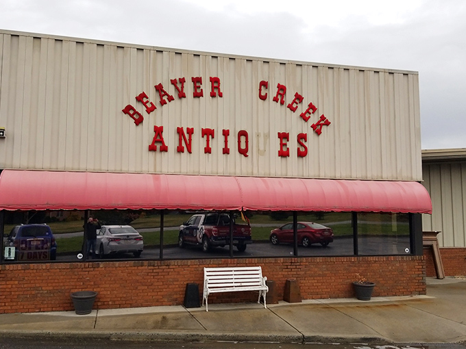 That red awning beckons like a beacon for bargain hunters seeking their next great discovery.
