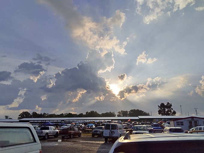 Sometimes the best adventures happen in parking lots where dreams and deals collide under Georgia skies.