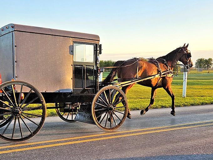 Sunset in Bird-in-Hand paints this Amish buggy in golden hues. Like watching a sepia photograph come to life on asphalt canvas!