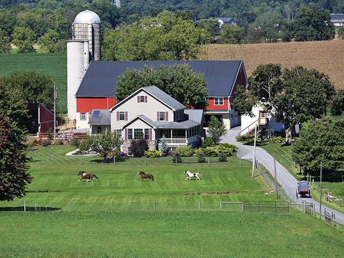 Like a Norman Rockwell painting come to life, this farmstead showcases the timeless harmony between red barns and rolling pastures.