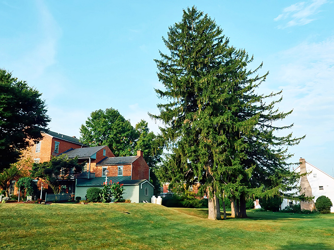 Picture-perfect countryside where the only traffic jam involves a patient horse and buggy taking the scenic route.