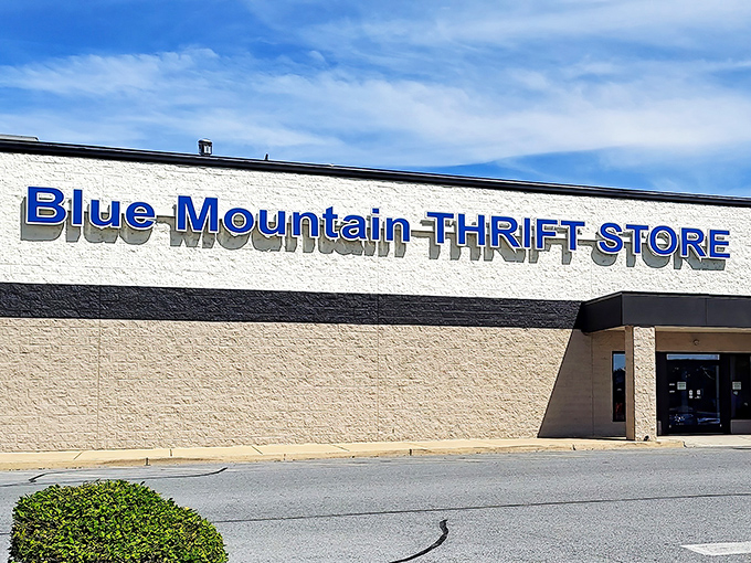 Blue Mountain Thrift Store's bold signage promises adventure. It's the archaeological dig site where yesterday's trends await rediscovery.