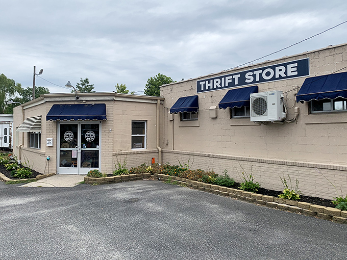 Bridging the Gap's modest exterior hides a treasure trove that could rival any antique hunter's dream.