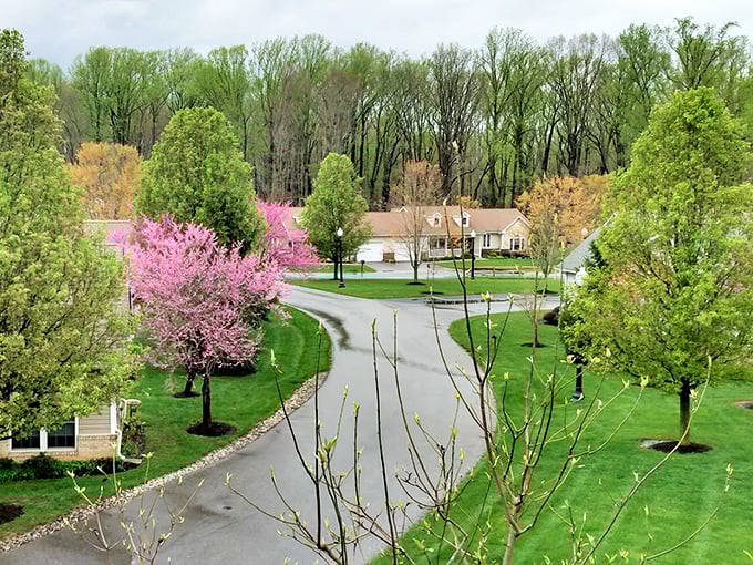 Spring's pink blossoms paint this peaceful campus like nature's own welcome mat for new residents.