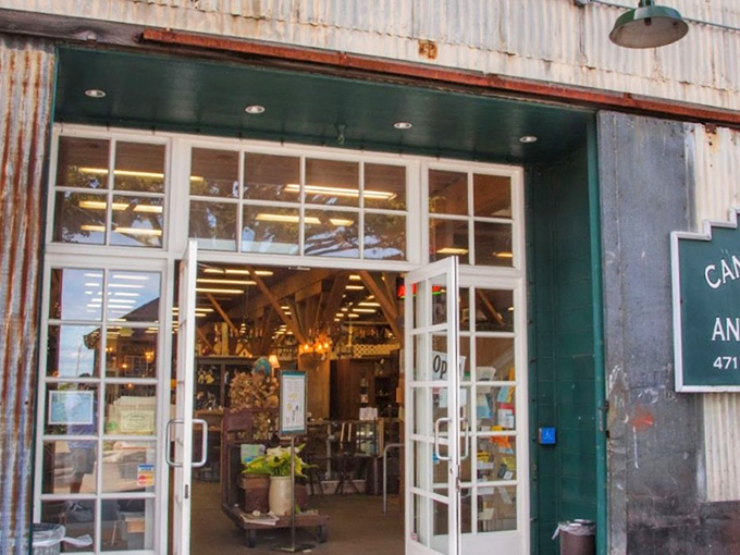 Behind those industrial windows lies Monterey's best-kept secret - where maritime history meets modern treasure hunting.