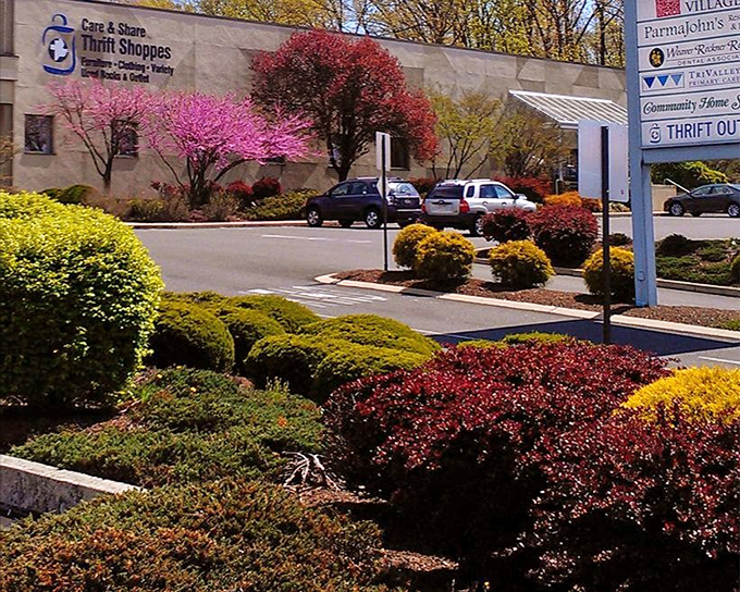 Care & Share Thrift Shoppes bloom with colorful landscaping that rivals the treasures inside. Who knew thrifting could come with garden views?