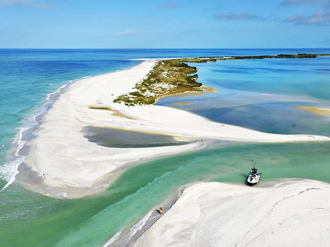 This pristine coastline curves like a painter's brushstroke, creating Florida's most photogenic natural masterpiece.