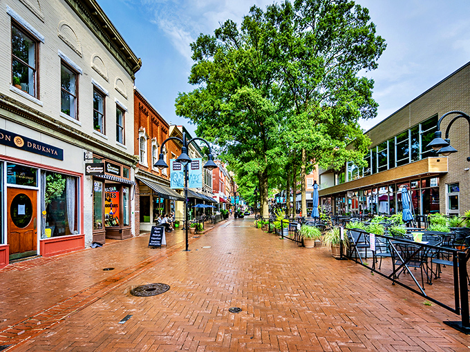 Charlottesville's pedestrian mall transforms shopping into an art form - no cars, just pure walking bliss. 