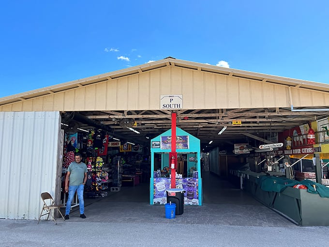 Step into this sprawling wonderland where every aisle promises discoveries that'll make your wallet smile.