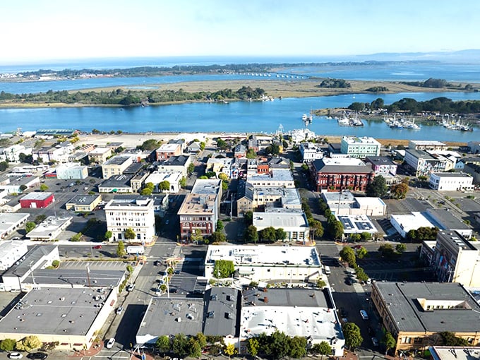 Eureka's harbor sparkles like a hidden jewel, where Victorian elegance meets Pacific Ocean magic perfectly.