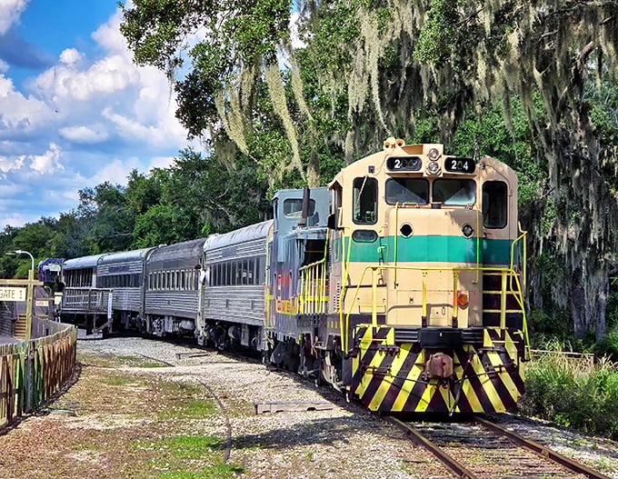 All aboard for a journey where history comes alive on authentic rails through Florida's hidden countryside.