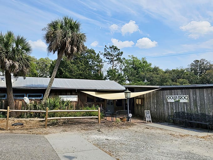 Island vibes meet serious seafood at this charming spot where palm trees frame every meal.