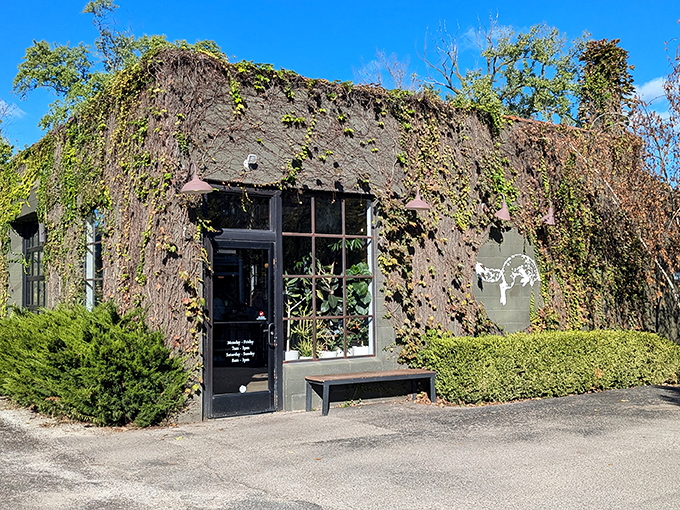 When ivy embraces a building this lovingly, you know something magical happens inside those walls.
