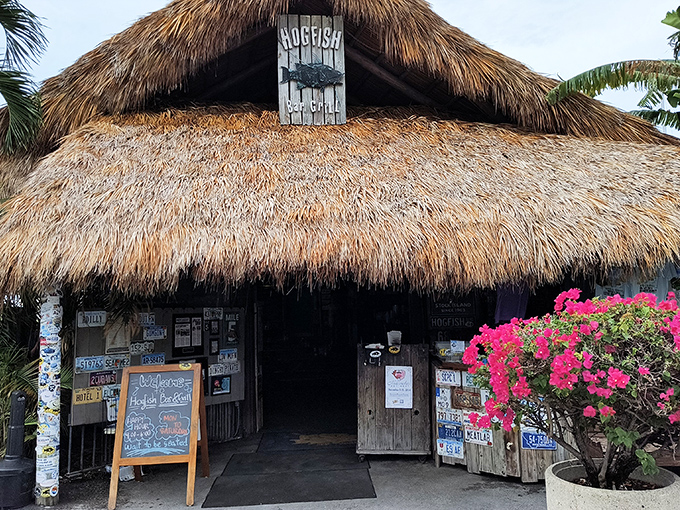 Tiki hut heaven! This palm-thatched paradise is where hogfish goes from "what's that?" to "why haven't I been eating this my whole life?"