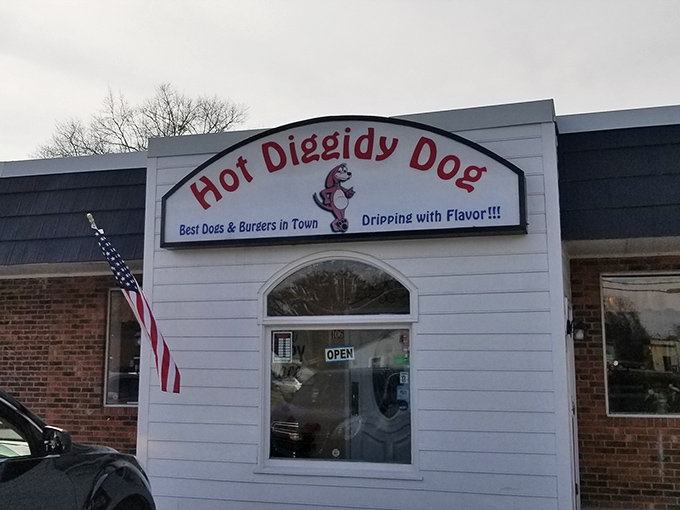 Hot Diggidy Dog's cheerful sign promises exactly what you'll get - dogs "dripping with flavor." No false advertising here!